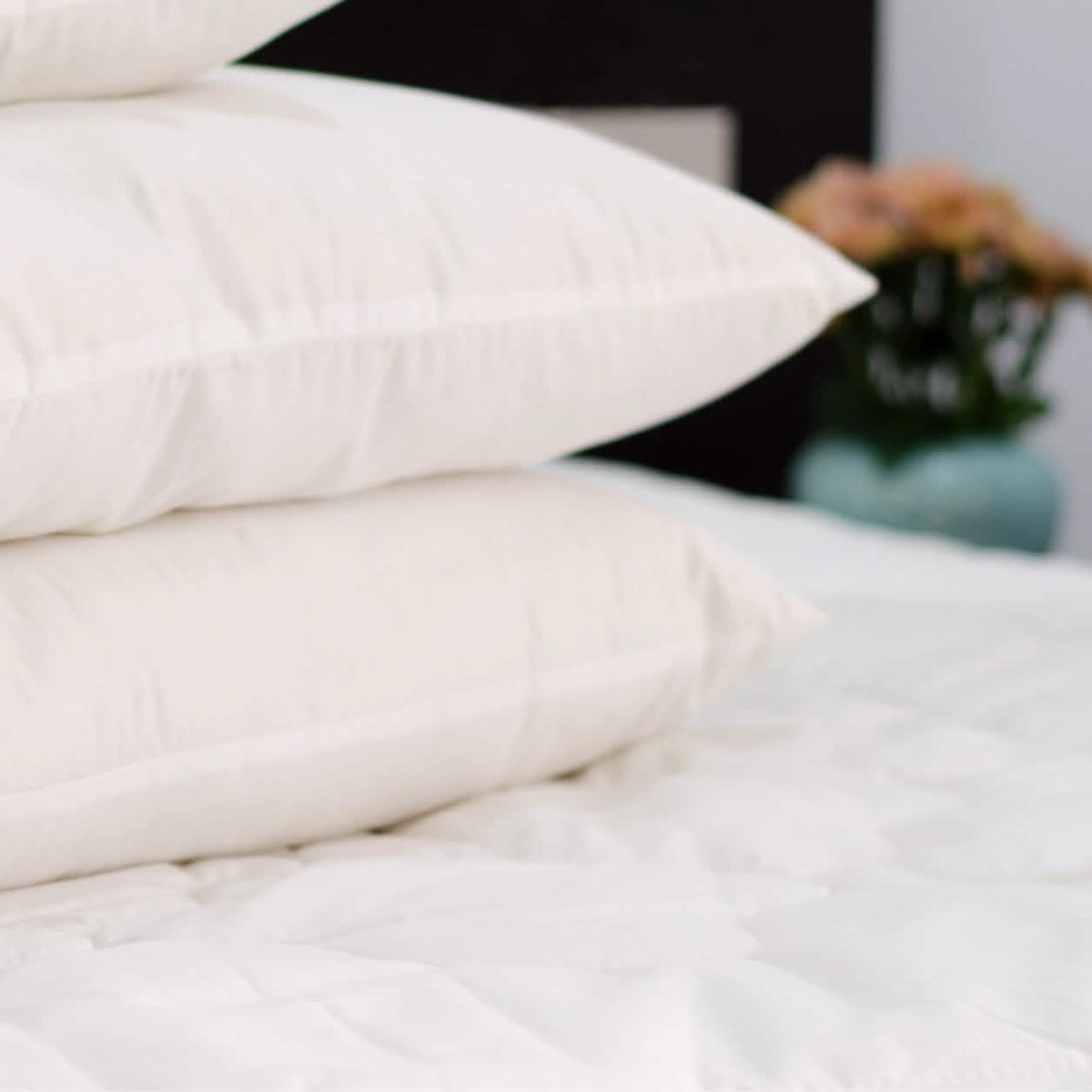 100% Merino Wool Pillows by St Genève – The Mattress & Sleep Company